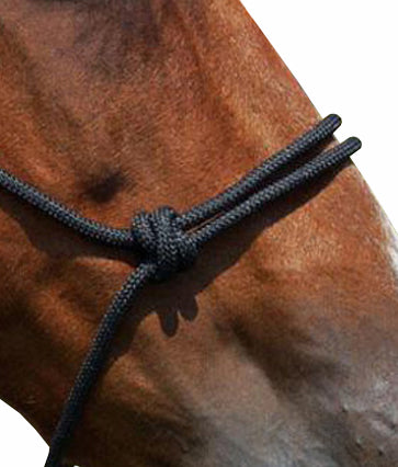 Black Rope Halter with Lead – Saddles World